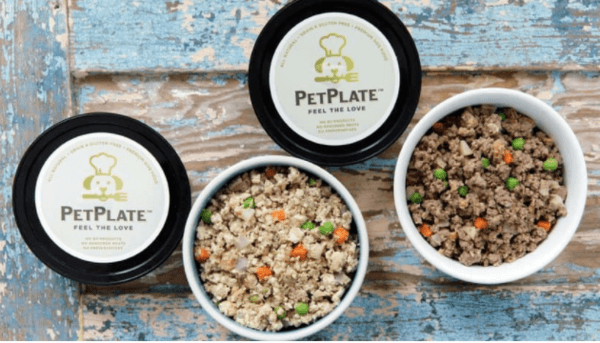 Three bowls of fresh petplate dog food on a wooden table. - This Dogs Life