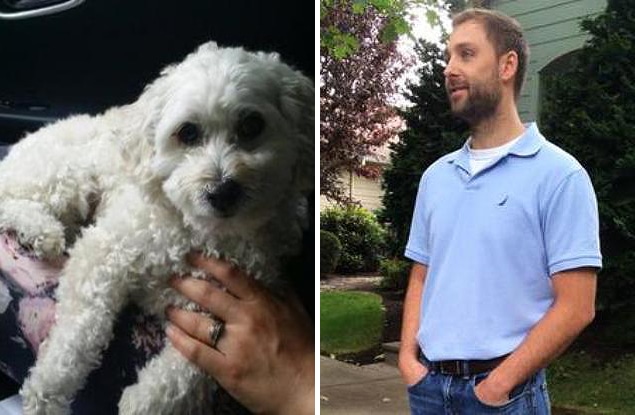 man catches dog - This Dogs Life