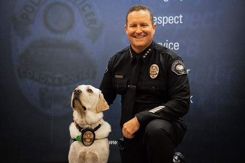 A police officer posing with his courtroom therapy dog. - This Dogs Life