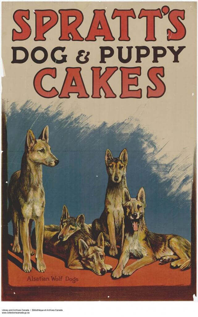 What Do Popular Dog Food Terms Even Mean This Dogs Life What Do Popular Dog Food Terms Even Mean This Dogs Life
