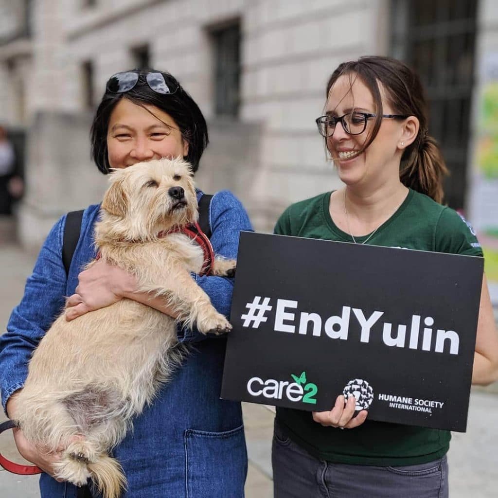 5 Misconceptions About the Yulin Dog Meat Festival You Need to Know ...