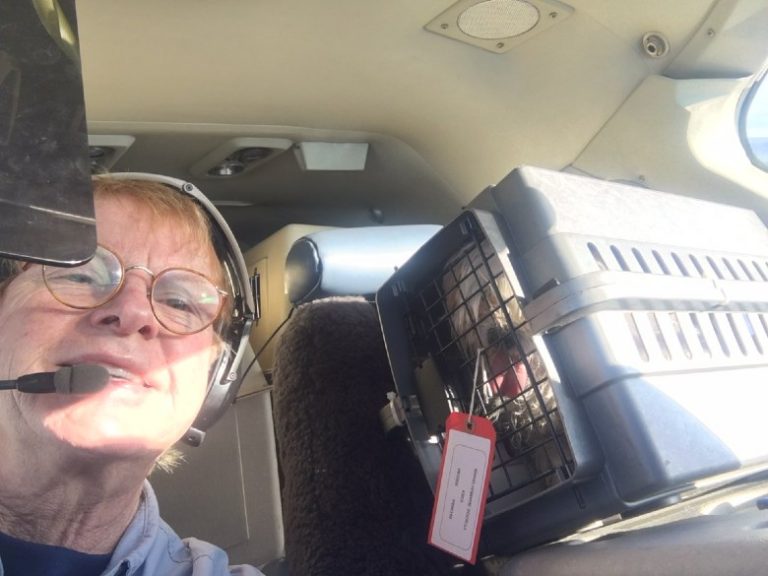 This Pilot is Saving Dogs’ Lives One Flight at a Time - This Dogs Life
