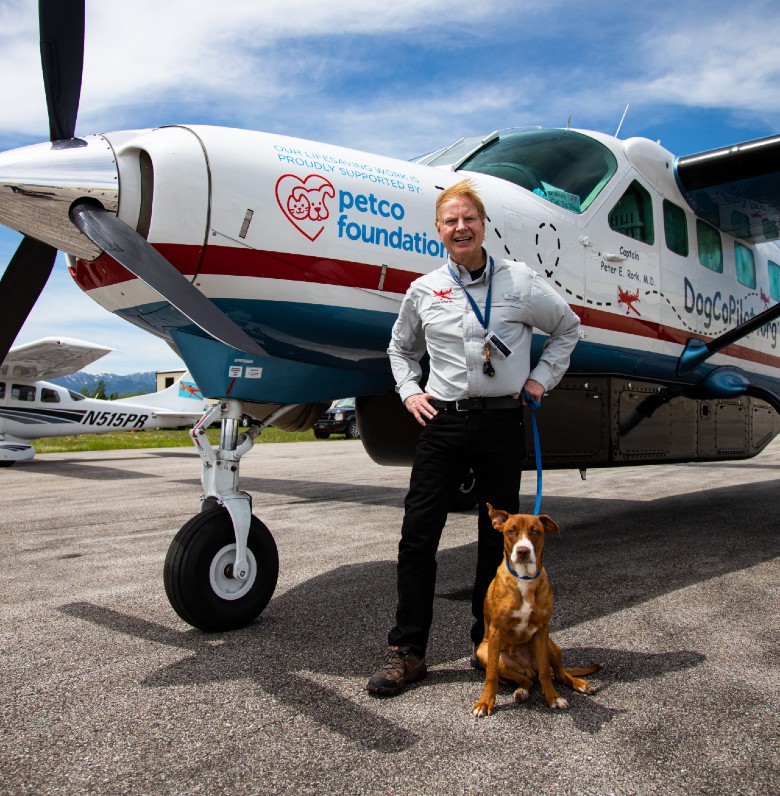 A pilot standing in front of a plane with a dog on a leash. - This Dogs ...