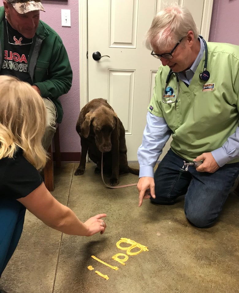 A group of people and a dog enjoying Fear Free Vet inspired activities ...