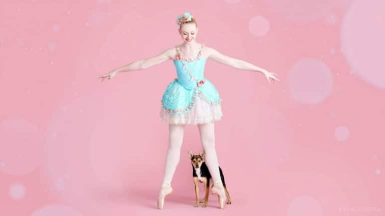 The St. Louis Ballet and Rescue Dogs Pose for Beautiful Photoshoot to ...