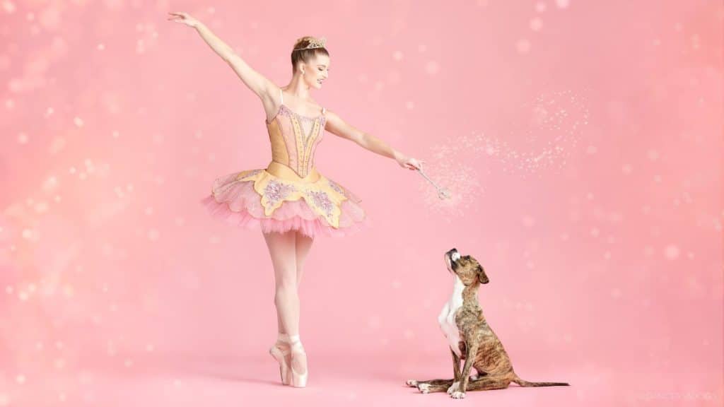 A ballerina from the St. Louis Ballet and a rescue dog on a pink ...