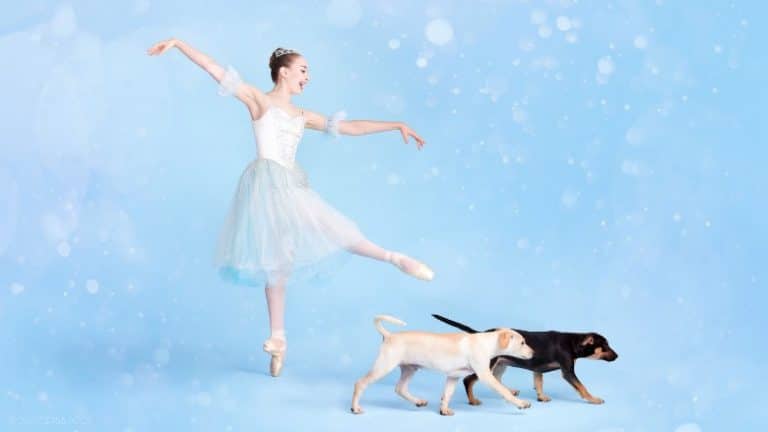 The St. Louis Ballet and Rescue Dogs Pose for Beautiful Photoshoot to ...