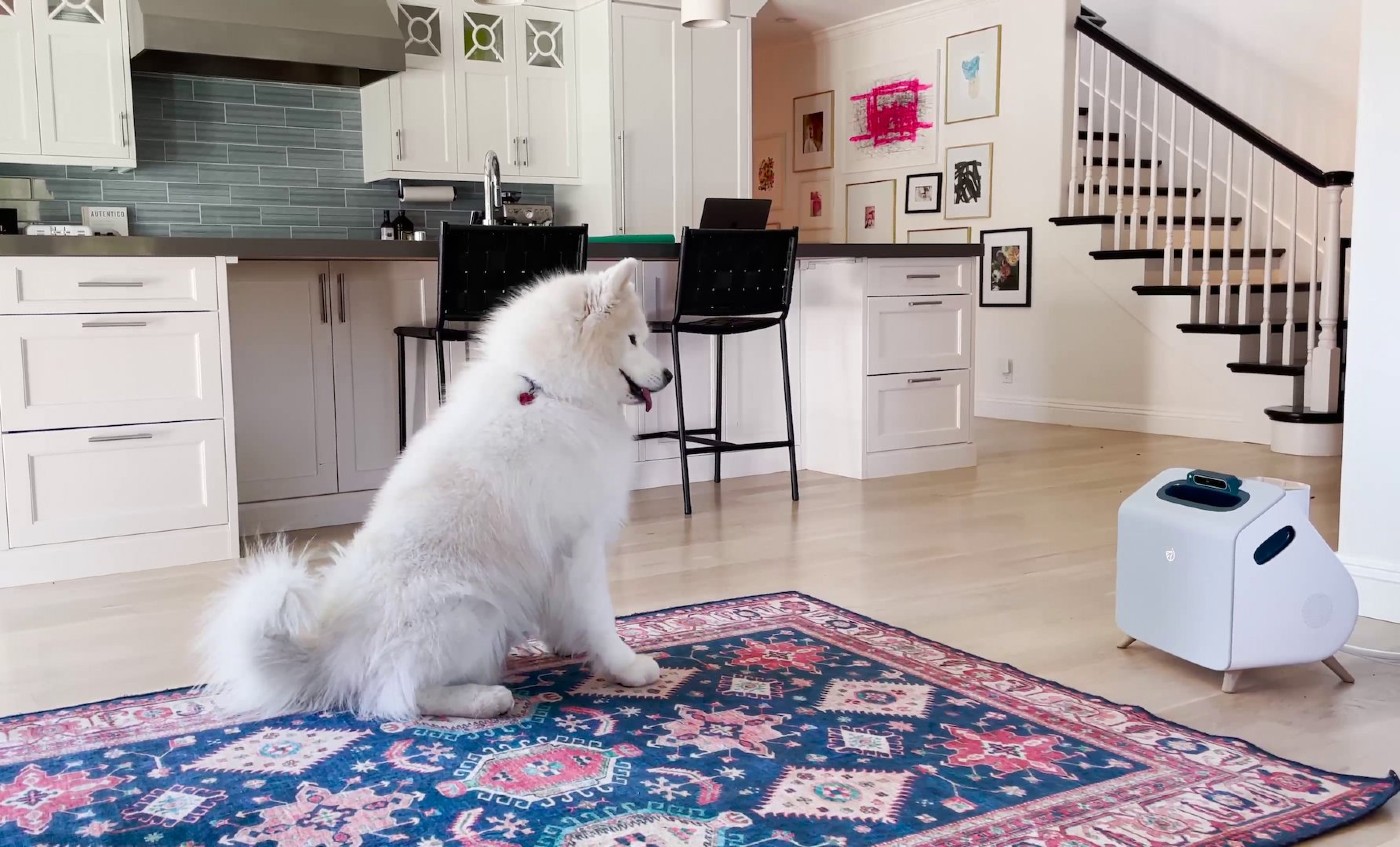 A dog sits on a rug in front of a small air purifier, besides a dog ...