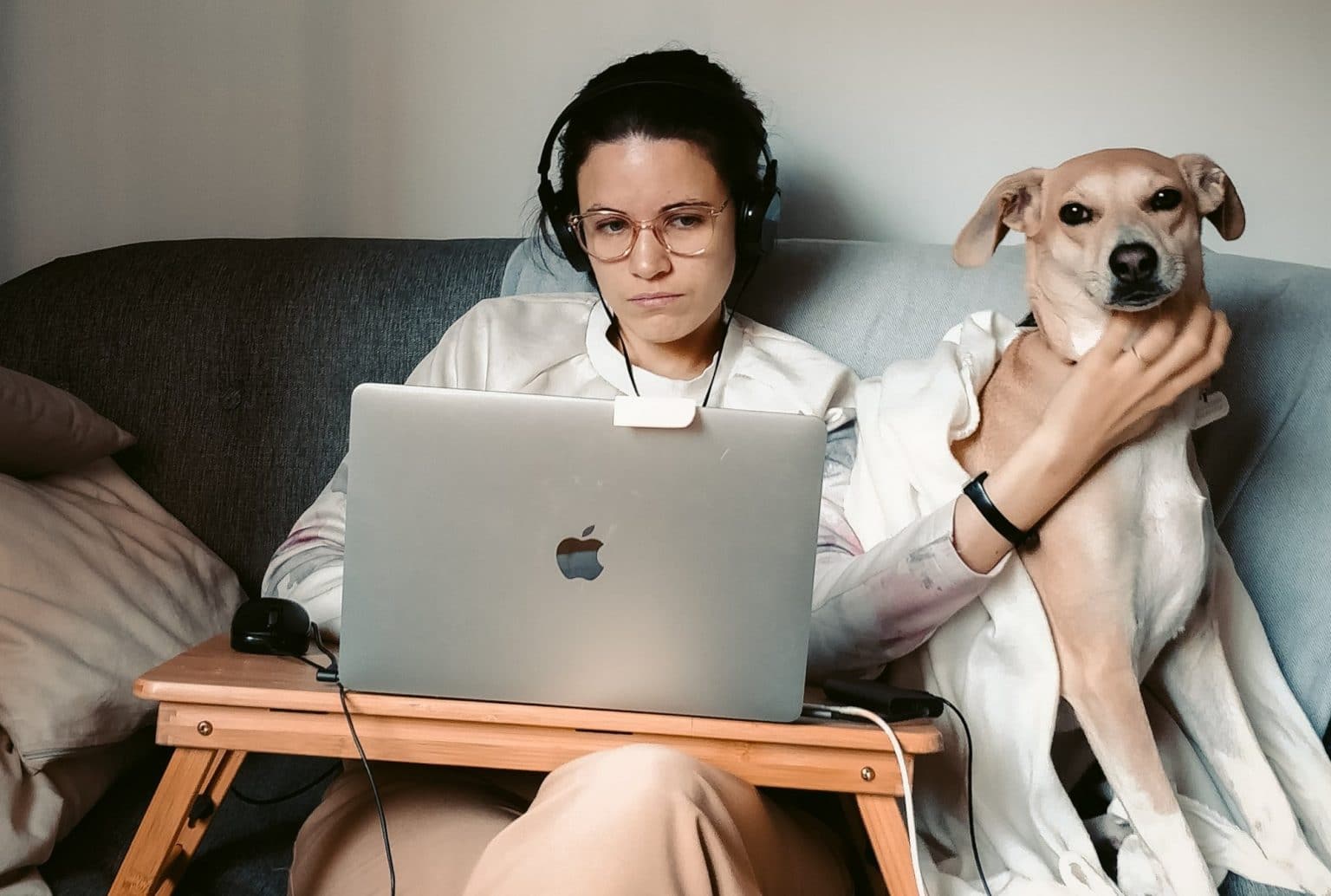 7 Essential Products Every Work-from-Home Dog Parent Needs - This Dogs Life