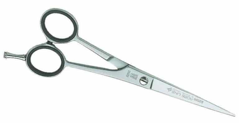 The 5 Best Scissors to Trim Your Dog's Hair at Home - This Dogs Life