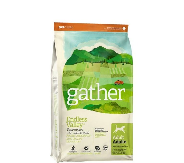 6 Sustainable Dog Food Brands and Why We Love Them - This Dogs Life