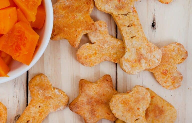 5 Dog-Friendly Holiday Treat Recipes That Will Have Your Pup Drooling ...